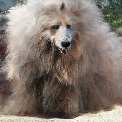 Bonus: Dog Fakes - AI WeirdnessCommentShare